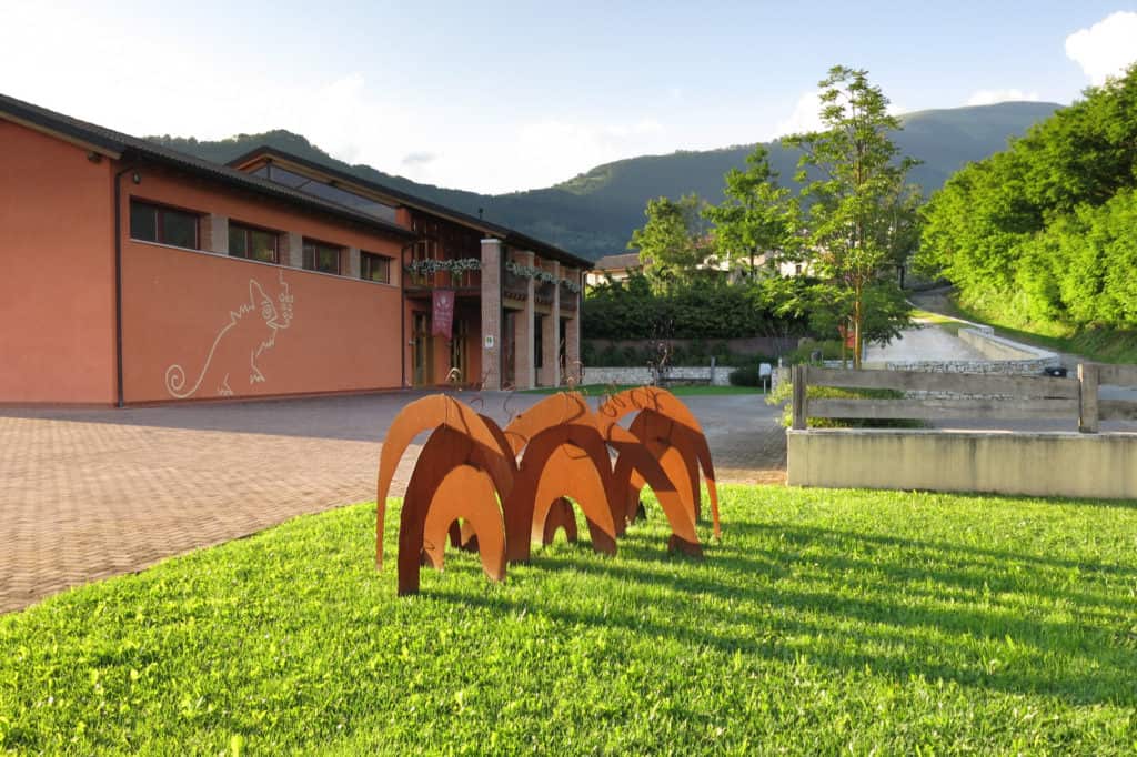 Tour e Degustazioni - Cantina Fasol Menin